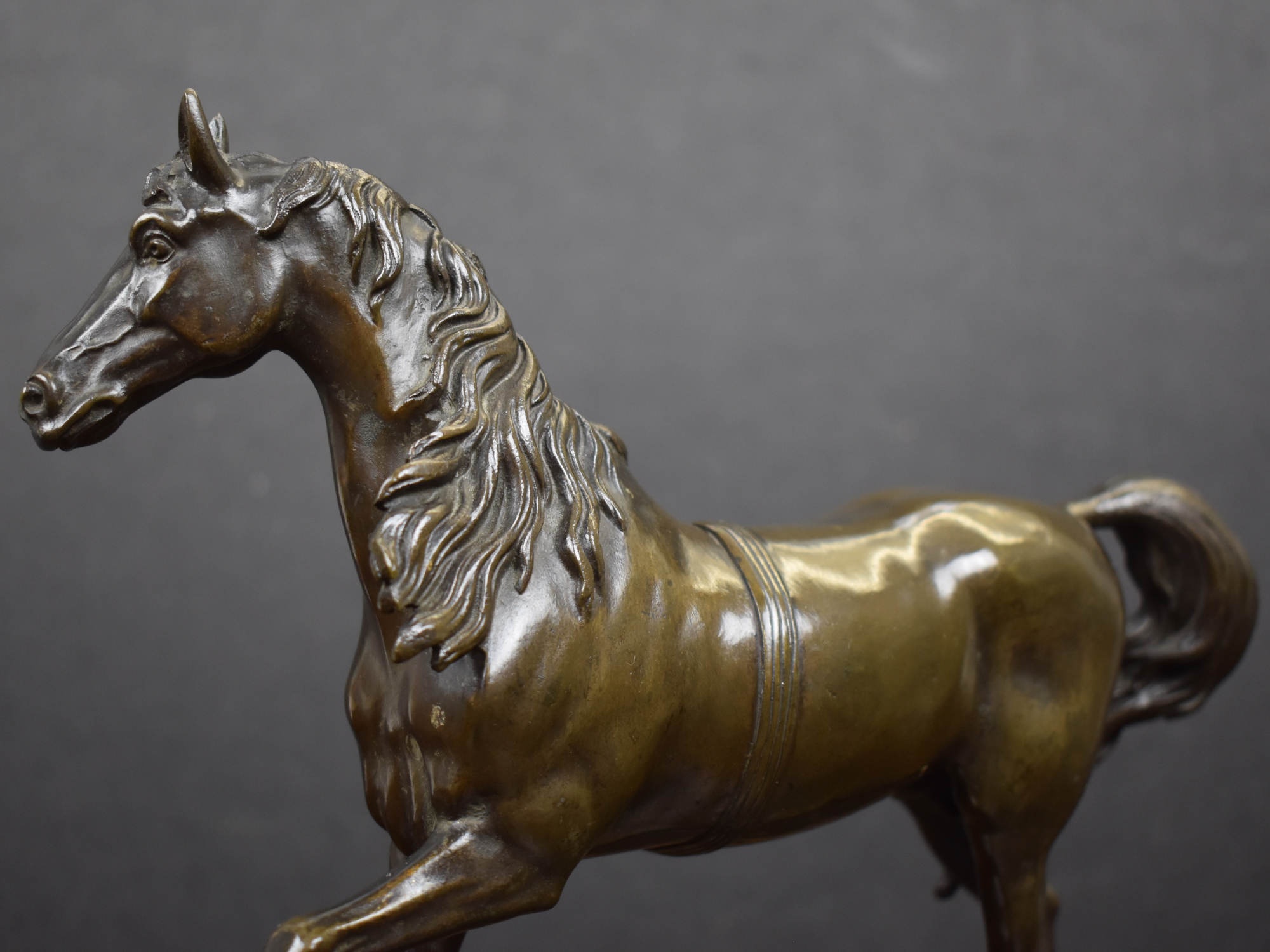 Antique French Bronze Sculpture of a Stallion Horse | Hart